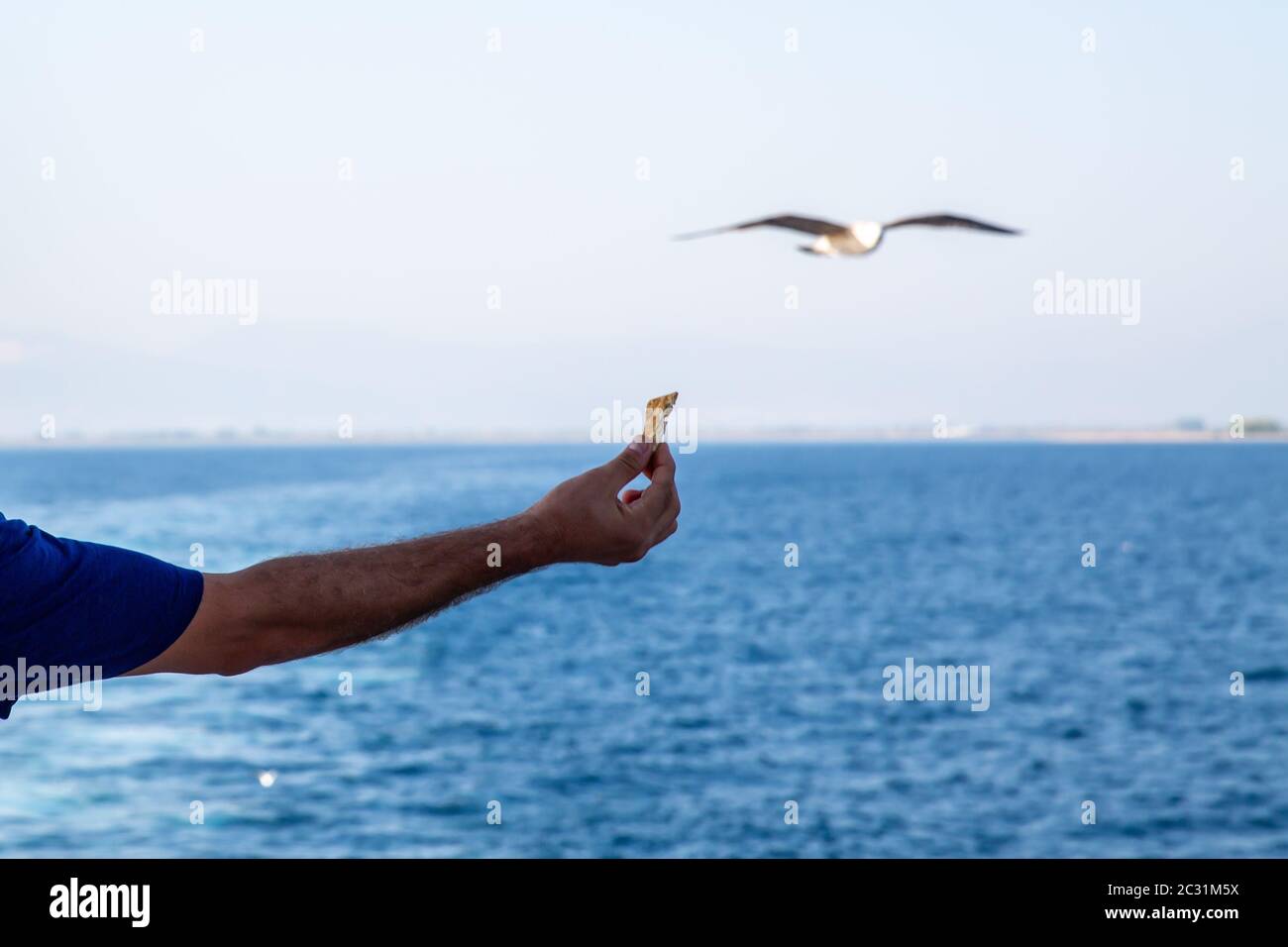 Mans arm hi-res stock photography and images - Alamy