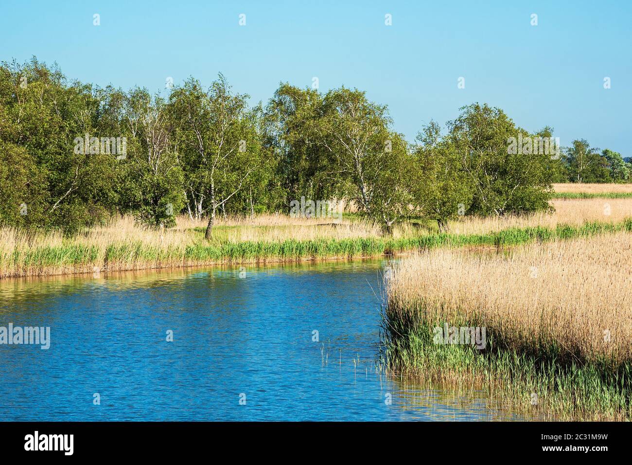 Prerow, Germany High Resolution Stock Photography and Images - Alamy