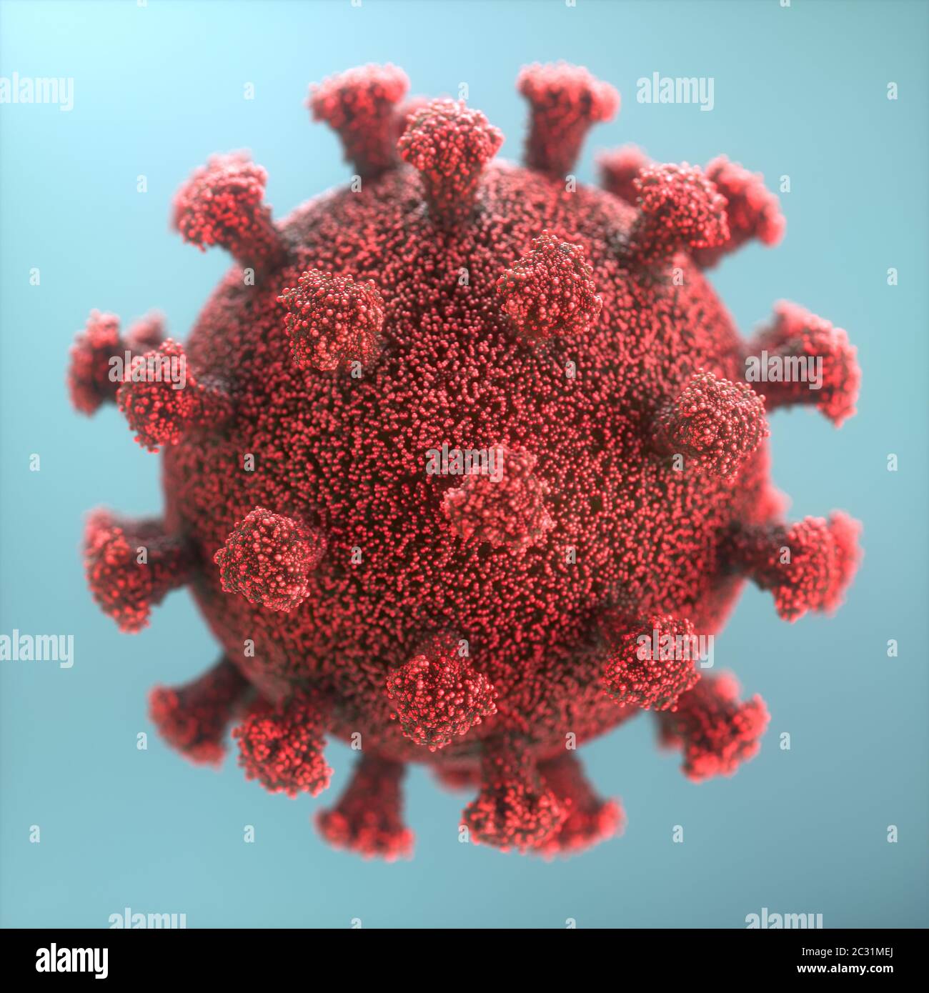 Viral structure. Viral particle is made up of a nucleus of nucleic acid ...