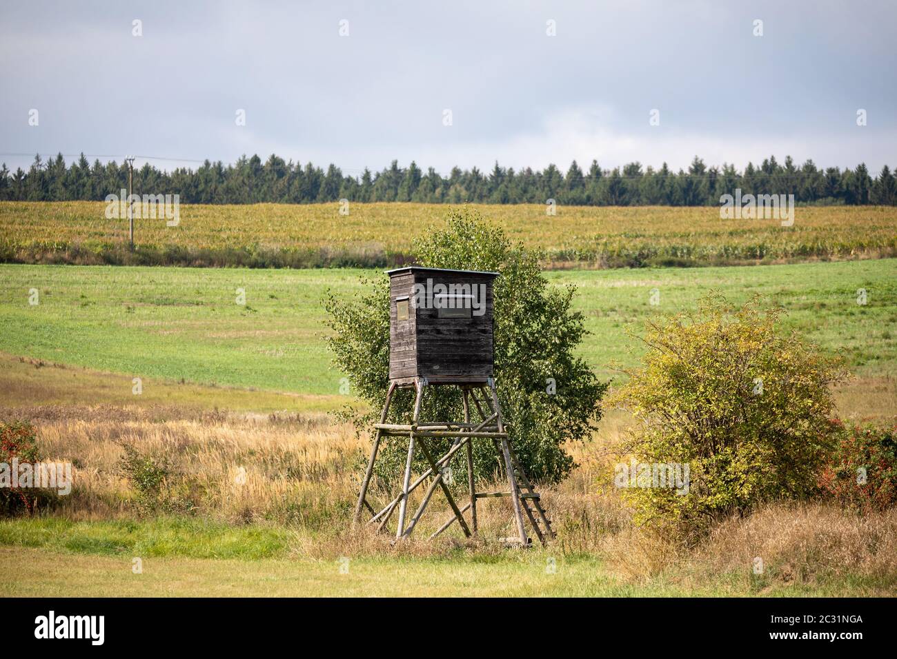 Wooden Hunters High Seat, hunting tower Stock Photo - Alamy