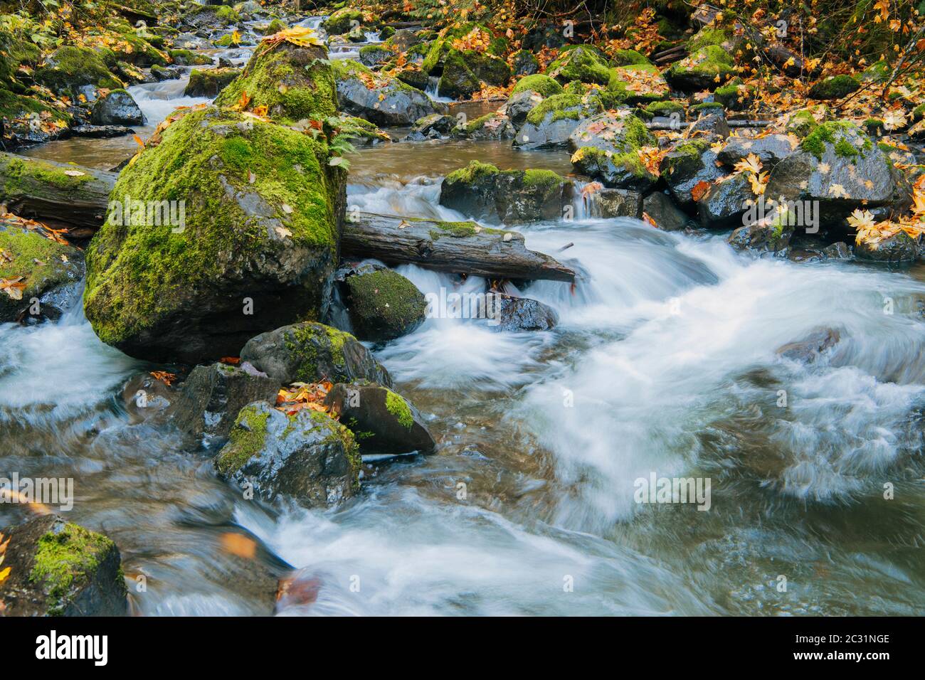 Brinnon washington hi-res stock photography and images - Alamy