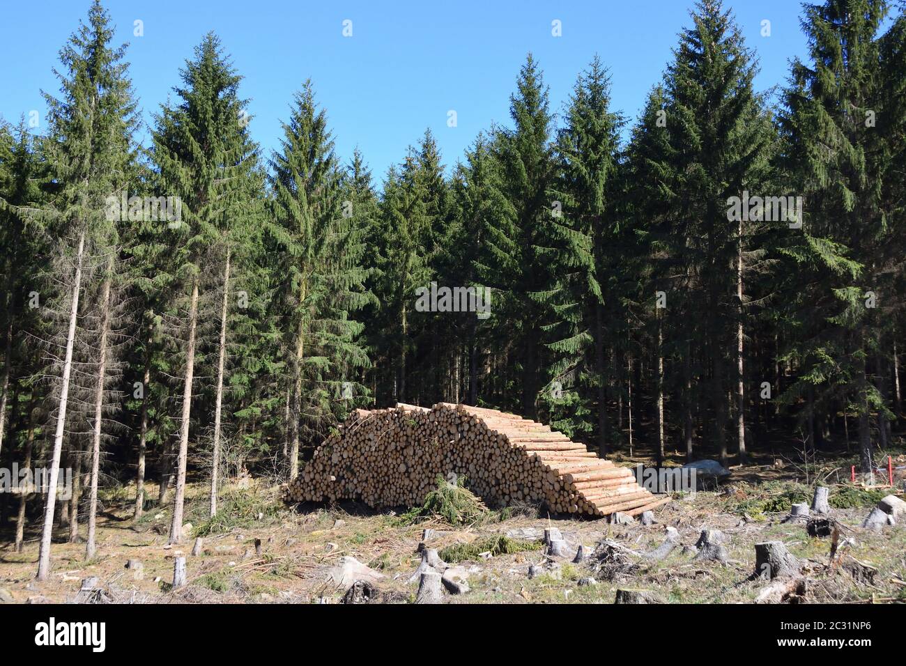 Log spruce trunks pile hi-res stock photography and images - Alamy