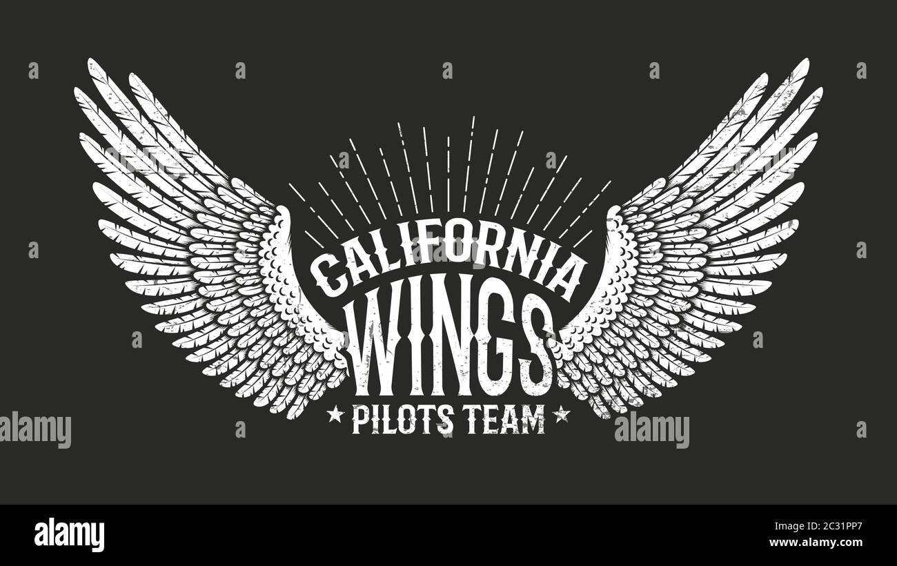 Pilot wings badge hi-res stock photography and images - Alamy