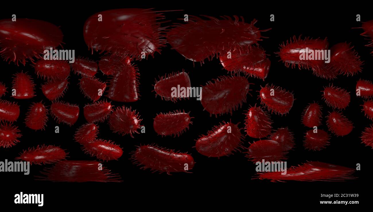 3d rendering Microscope virus- bacteria close up. Equirectangular 360 ...