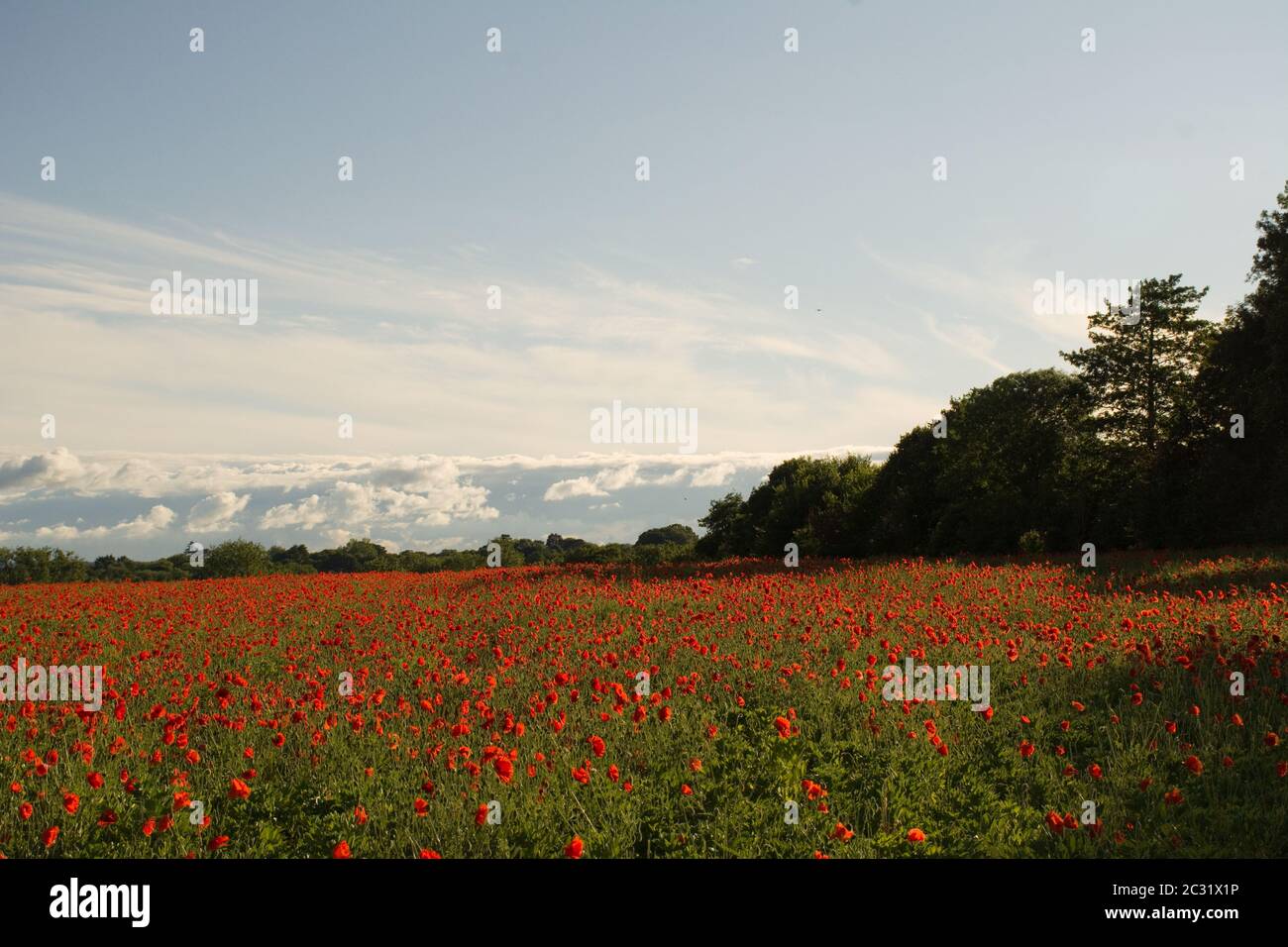 Ecton northamptonshire hi-res stock photography and images - Alamy