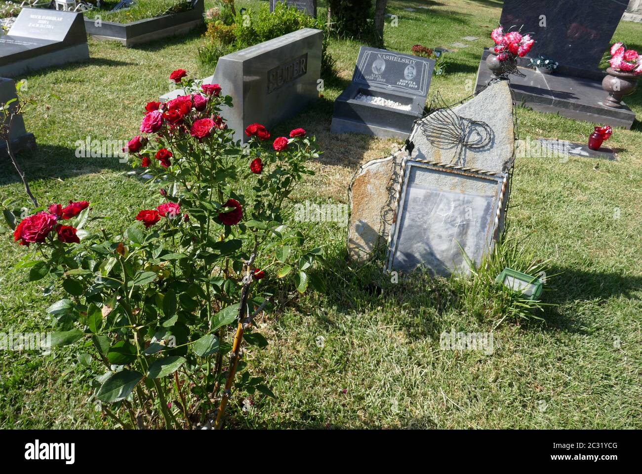 Hollywood, California, USA 17th June 2020 A general view of atmosphere ...