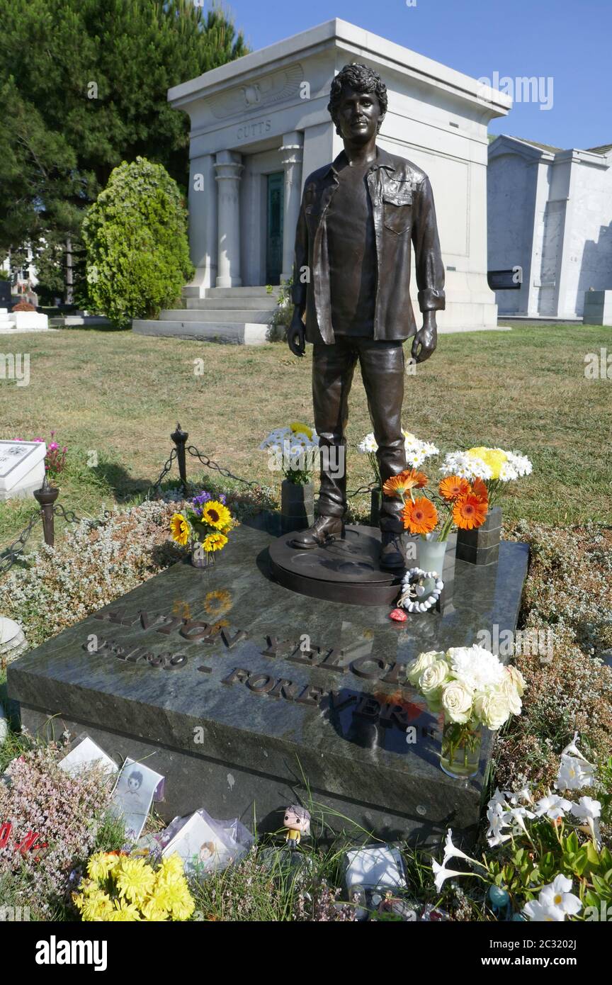 Hollywood, California, USA 17th June 2020 A general view of atmosphere of Anton Yelchin Grave in ...