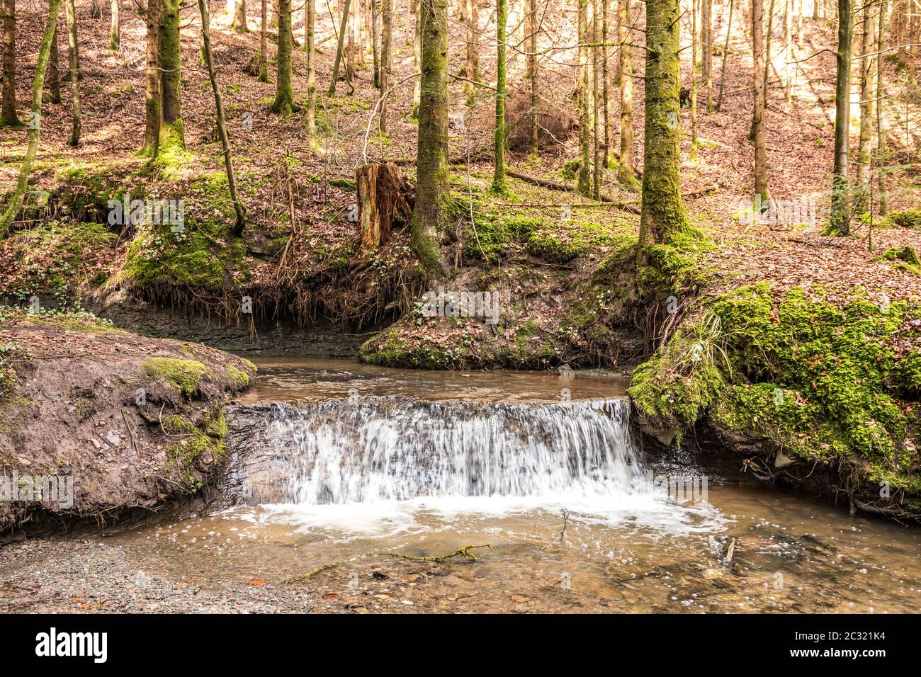 Little waterfall down the canyon in the middle of the green forest ...