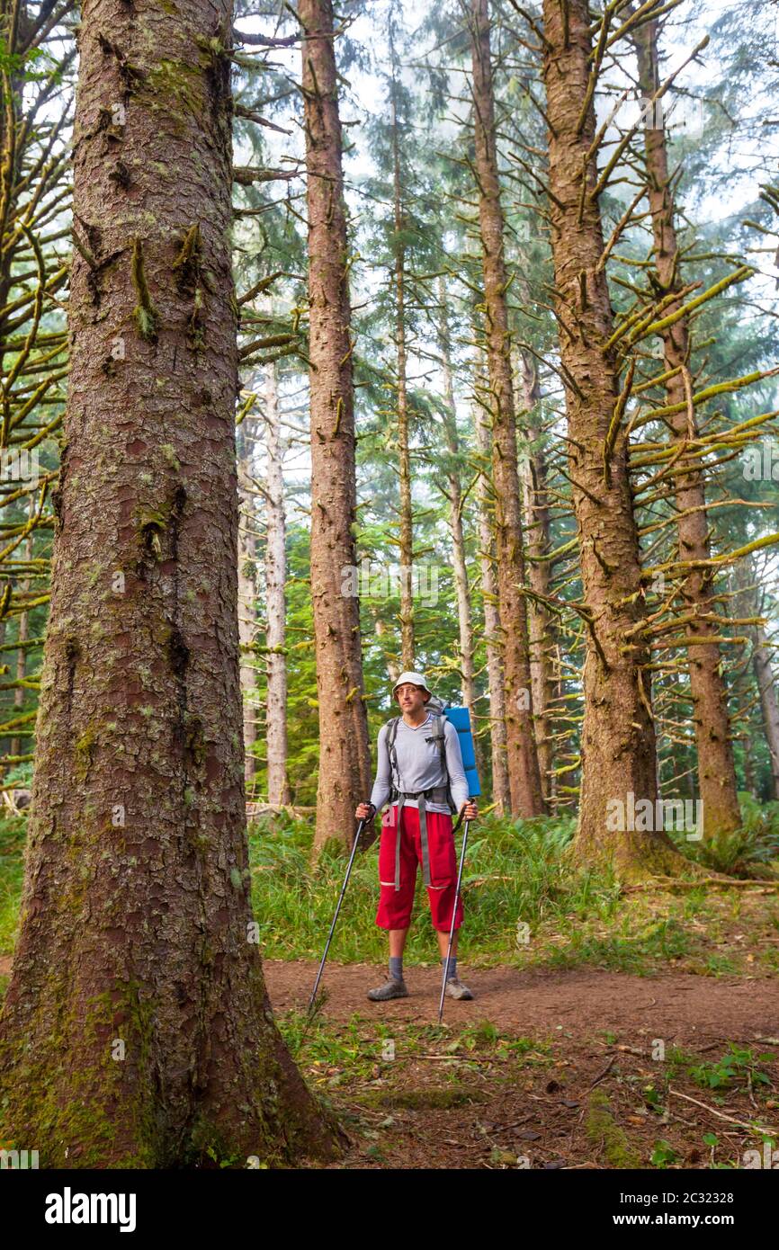 Hike in the forest Stock Photo - Alamy