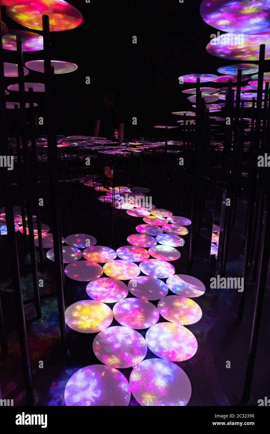 People exploring and enjoying The Memory of topography by teamLab at ...