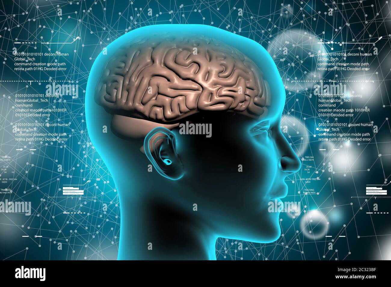 representation of human brain Stock Photo - Alamy