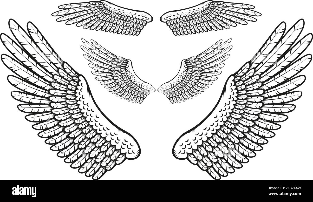 Spread wings and angel Cut Out Stock Images & Pictures - Alamy