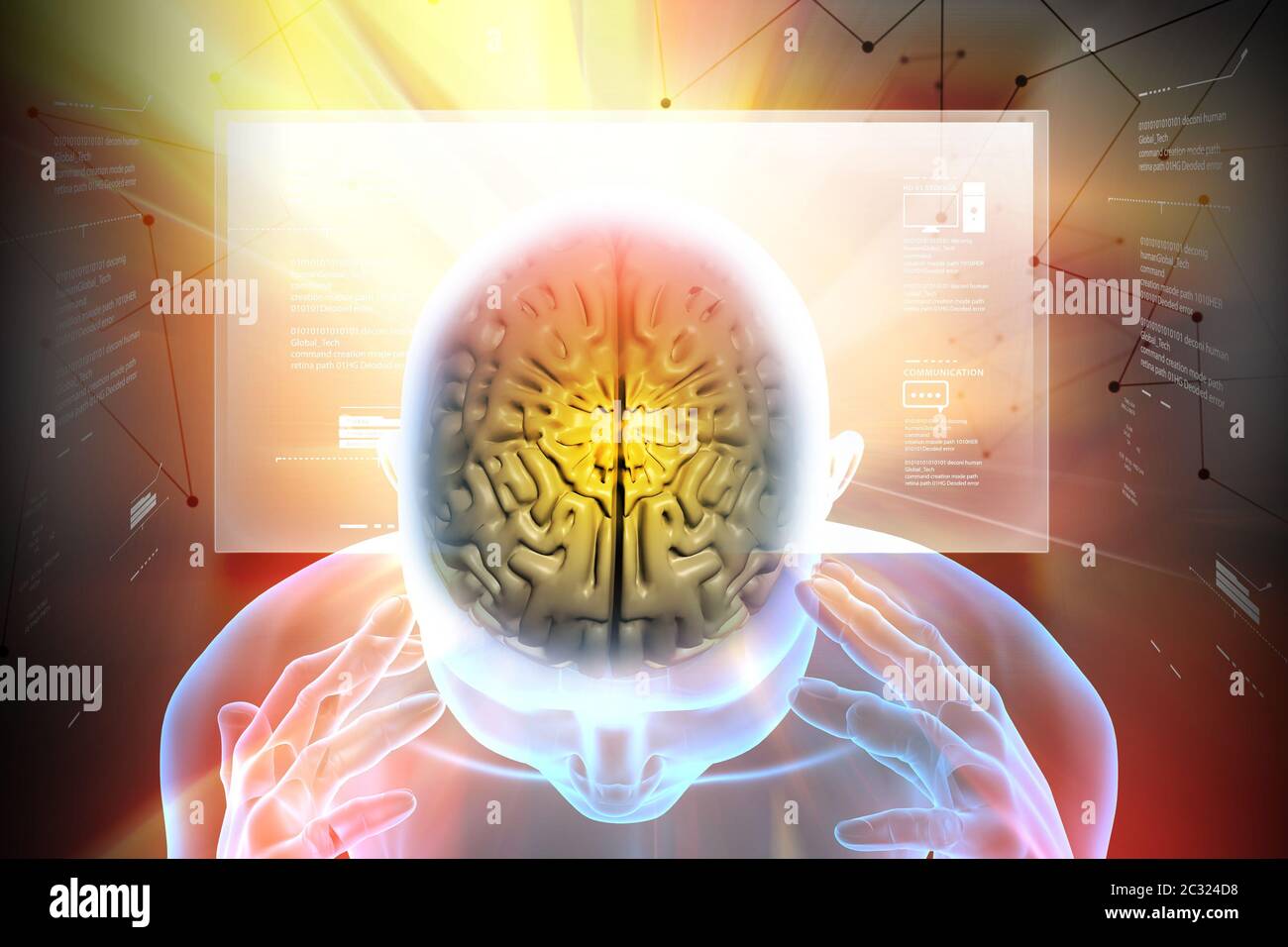 representation of female brain Stock Photo - Alamy