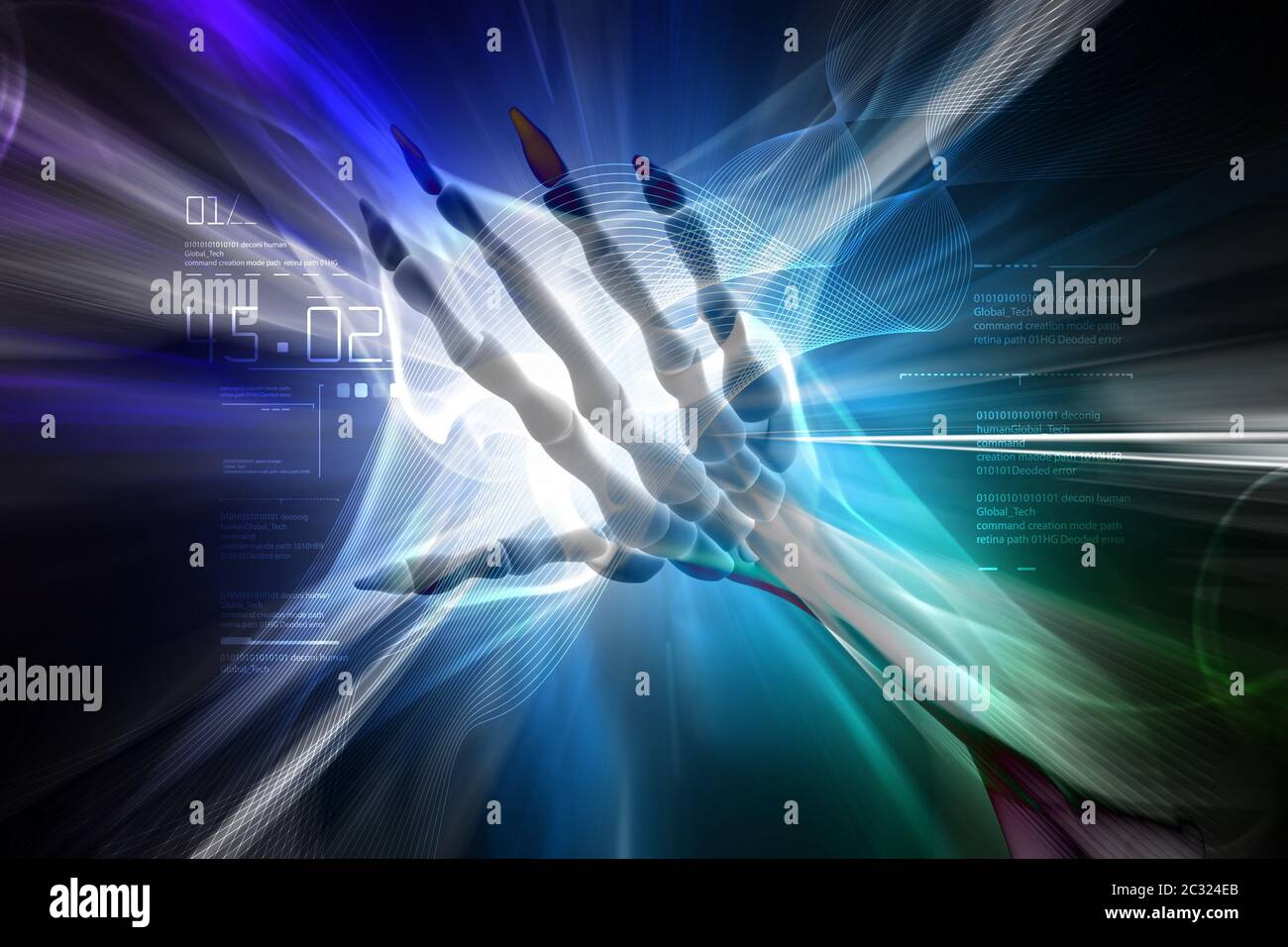 Skelton of hand Stock Photo - Alamy