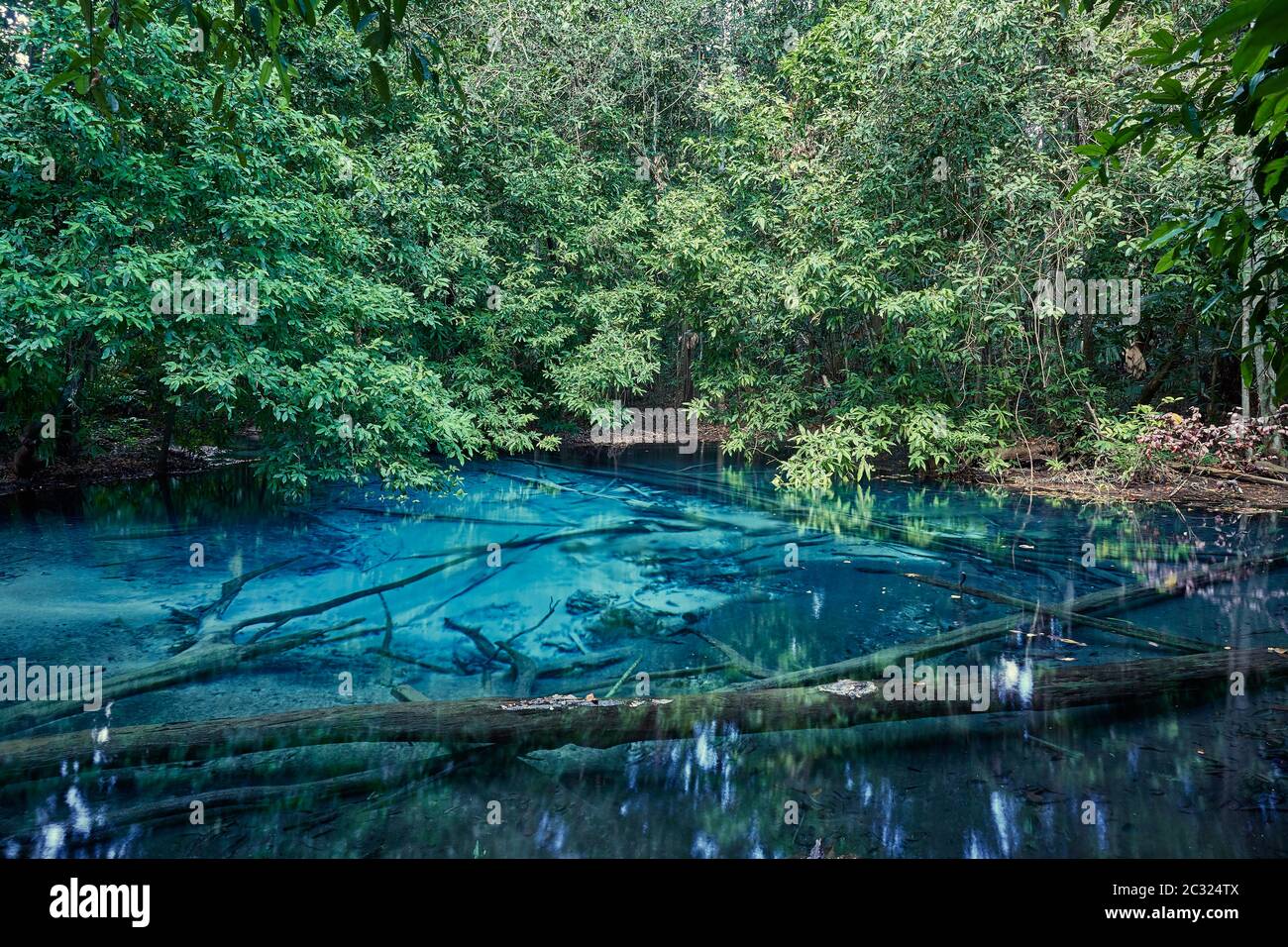 Emerald pool national park thailand hi-res stock photography and images ...