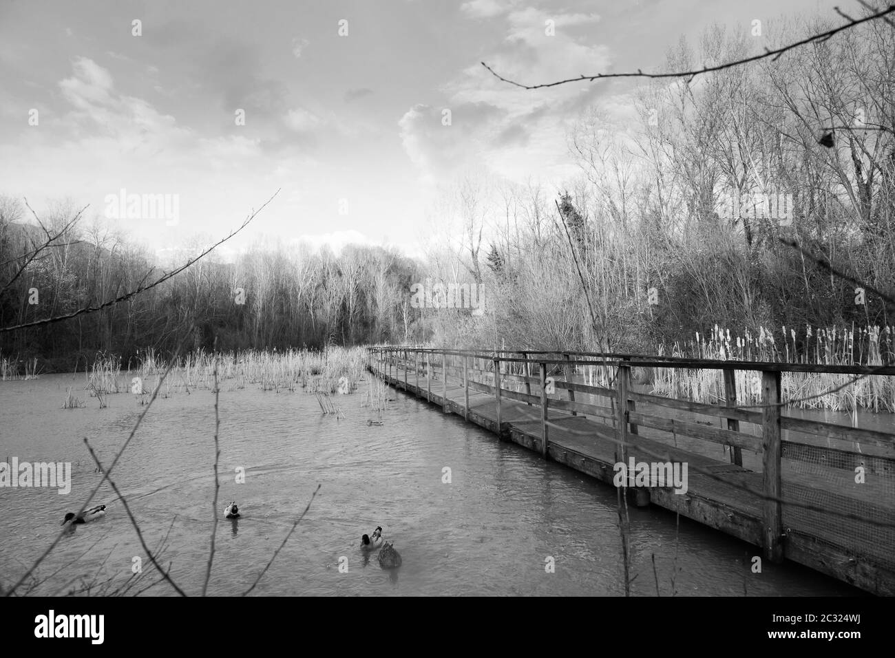 Old wood footbridge on lagoon. Outdoor and nature. Rural panorama Stock ...