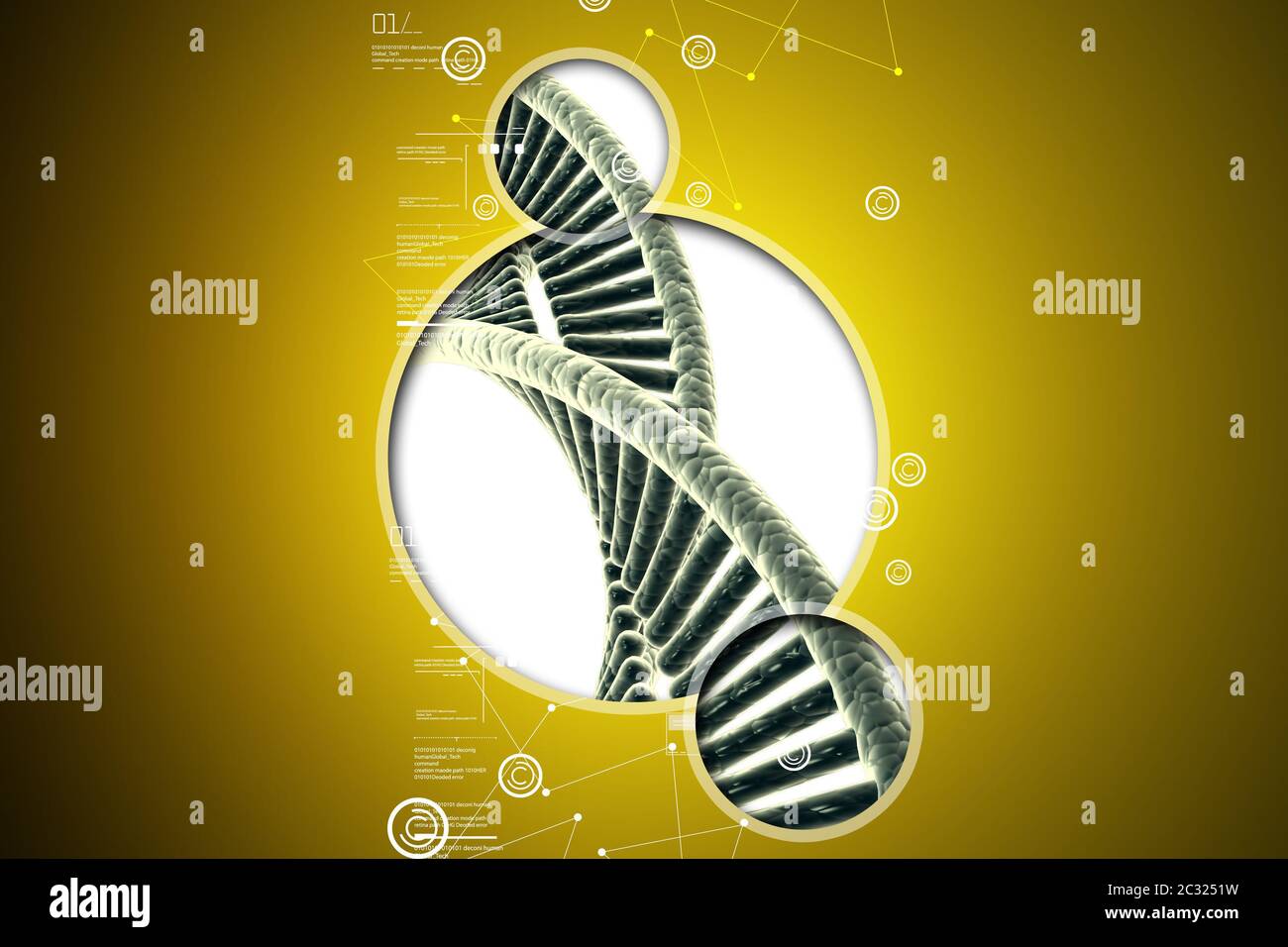 human DNA strand Stock Photo - Alamy