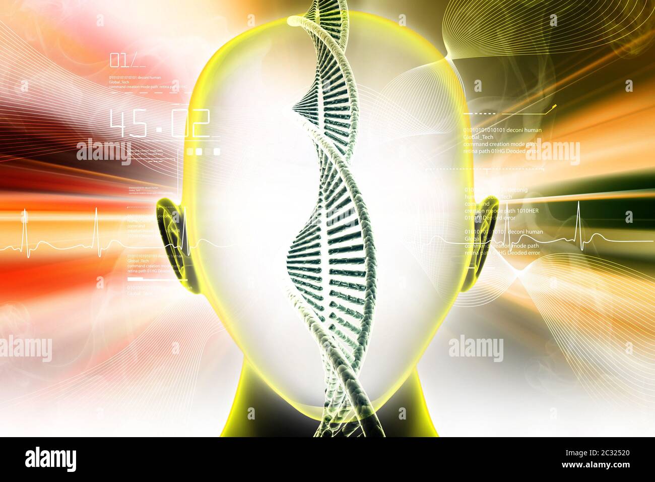 Female Surface Anatomy High Resolution Stock Photography and Images - Alamy