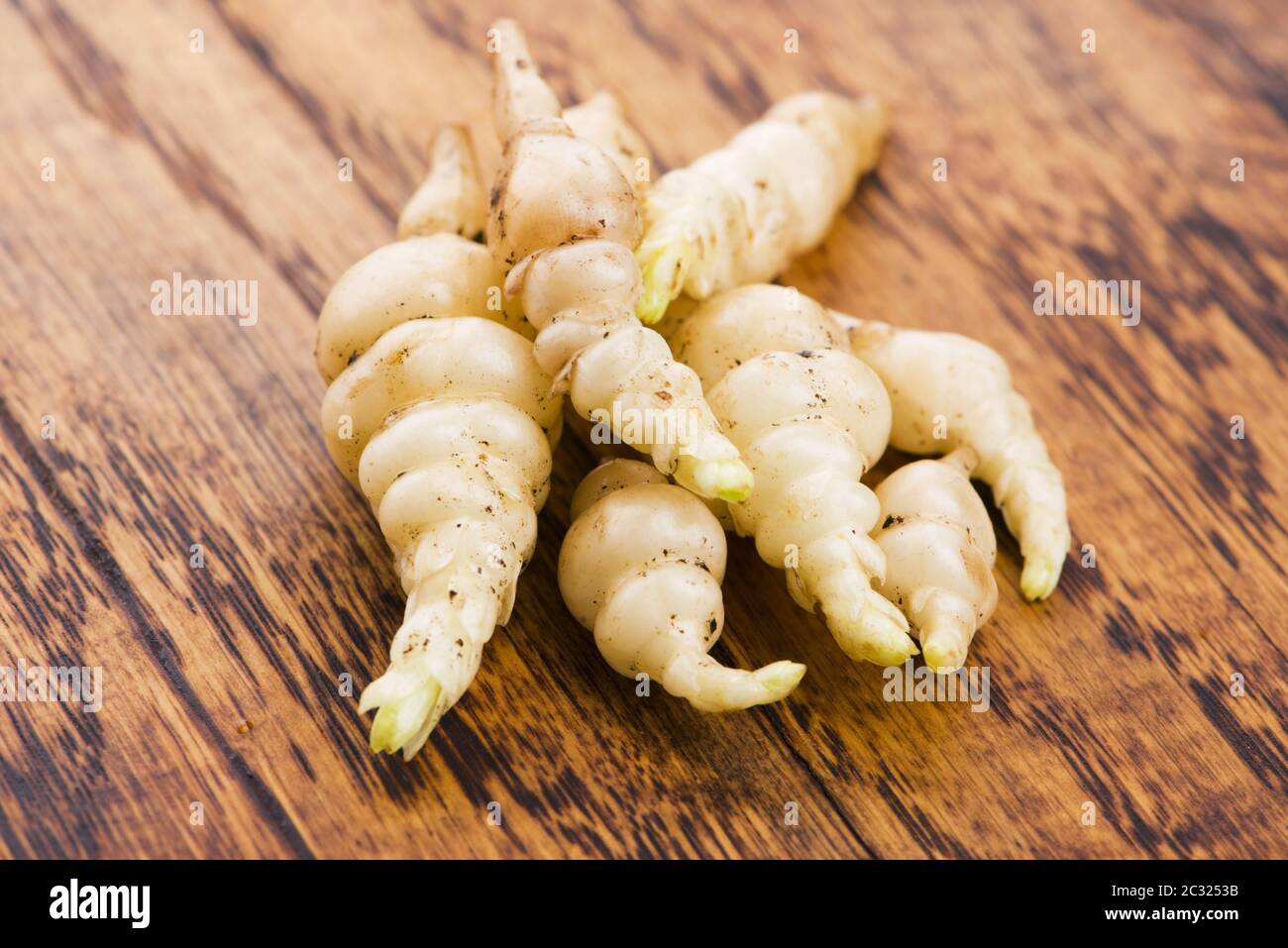 Japanese crosne Stachys affinis tubers rhizome root vegetable closeup ...