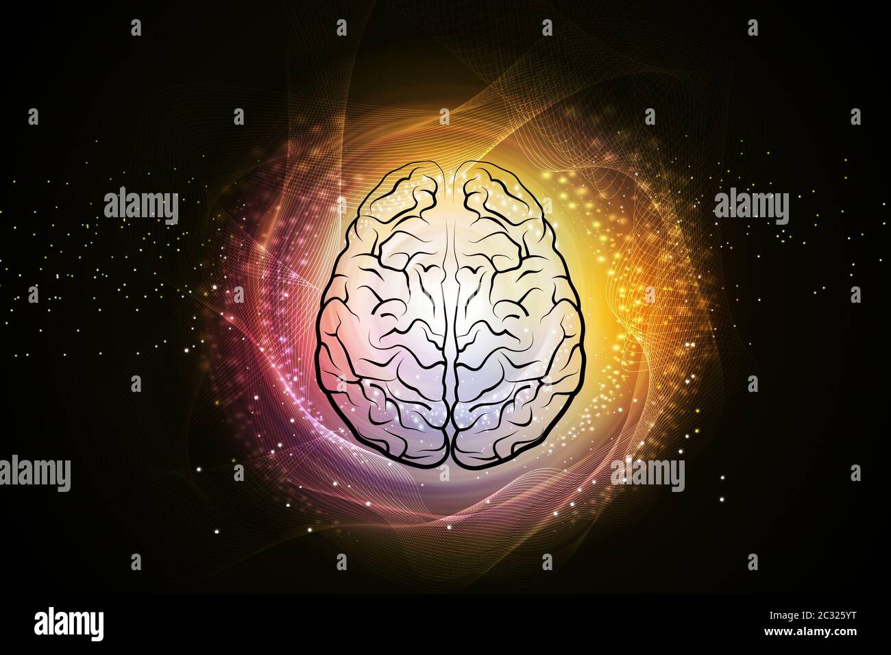 Human brain structure Stock Photo - Alamy