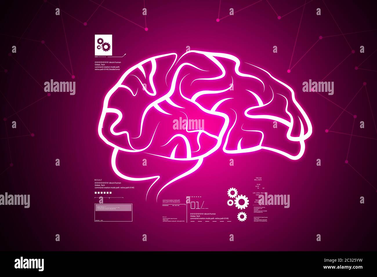 Human brain structure Stock Photo - Alamy