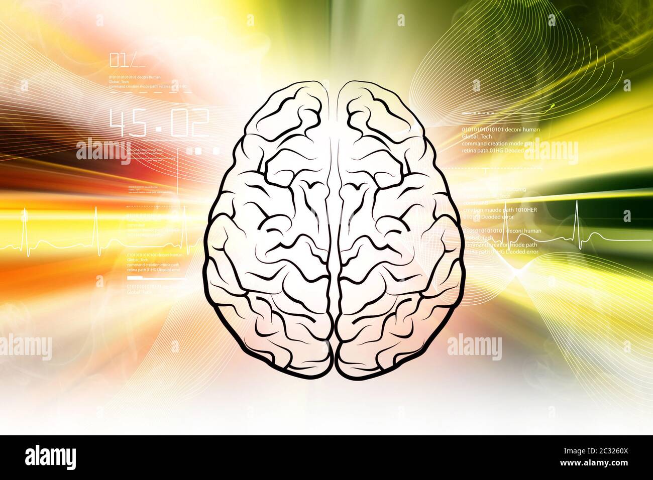 Human brain structure Stock Photo - Alamy