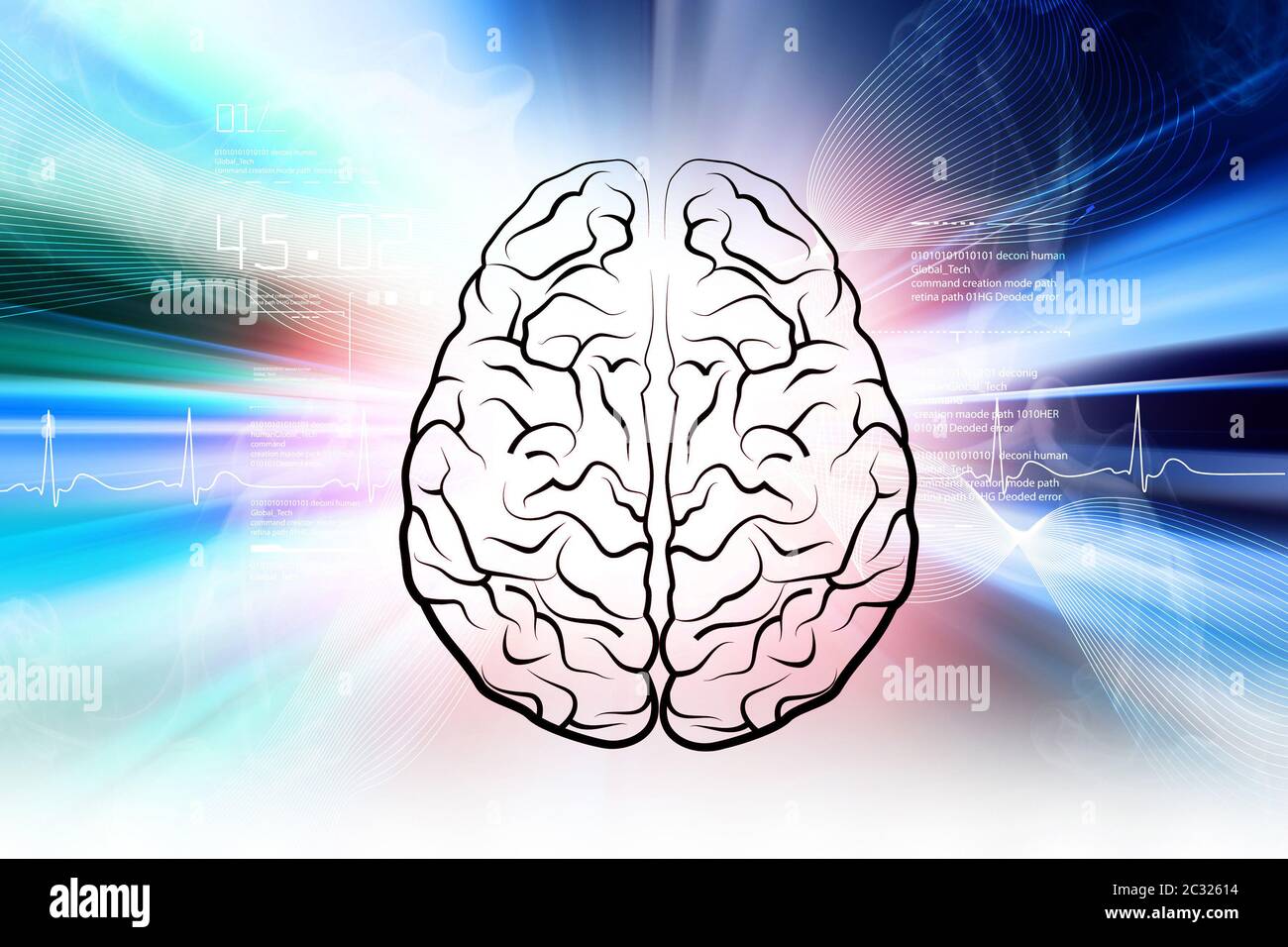 Human brain structure Stock Photo - Alamy