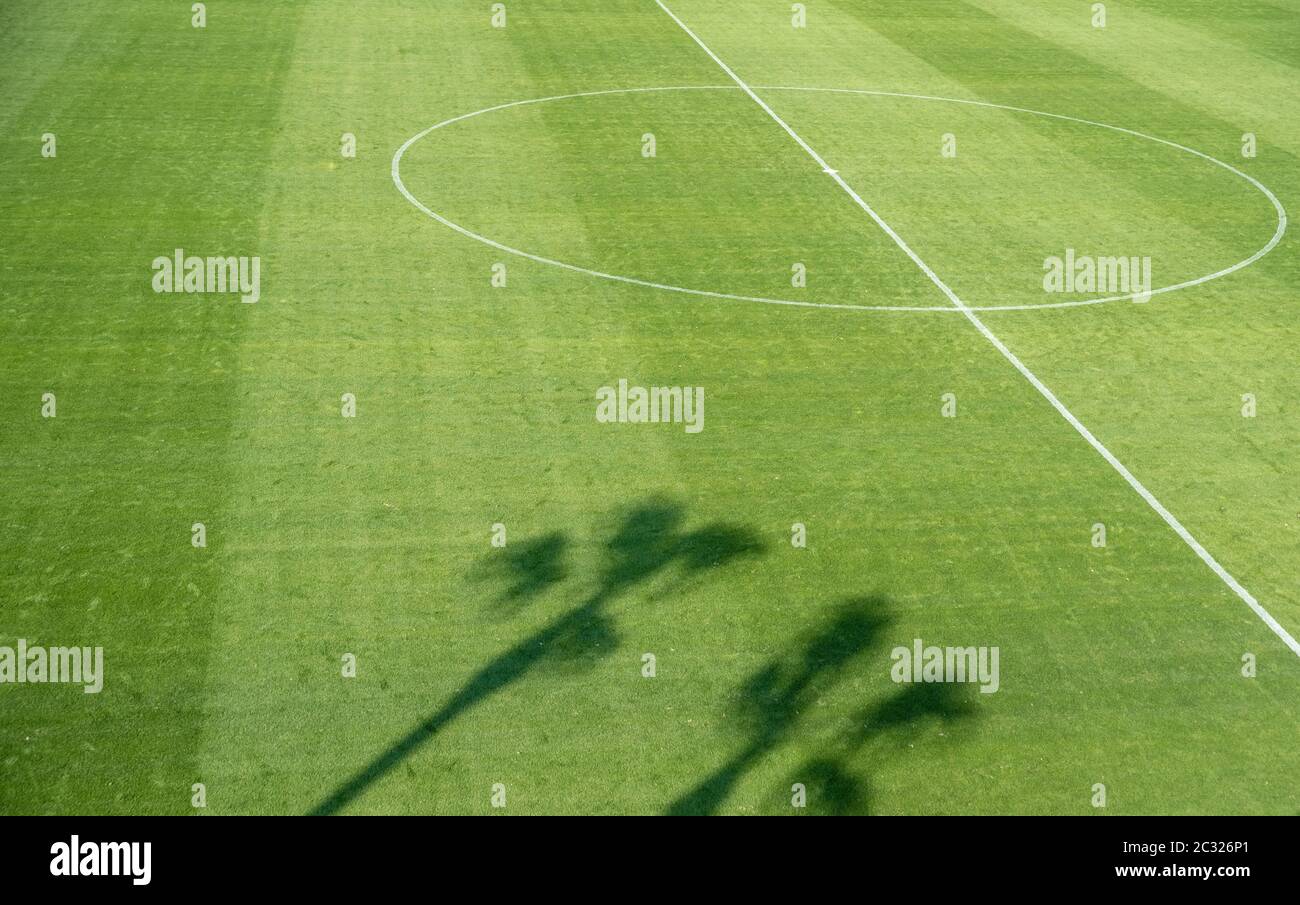 Shade from palm trees on a football pitch lawn Stock Photo - Alamy