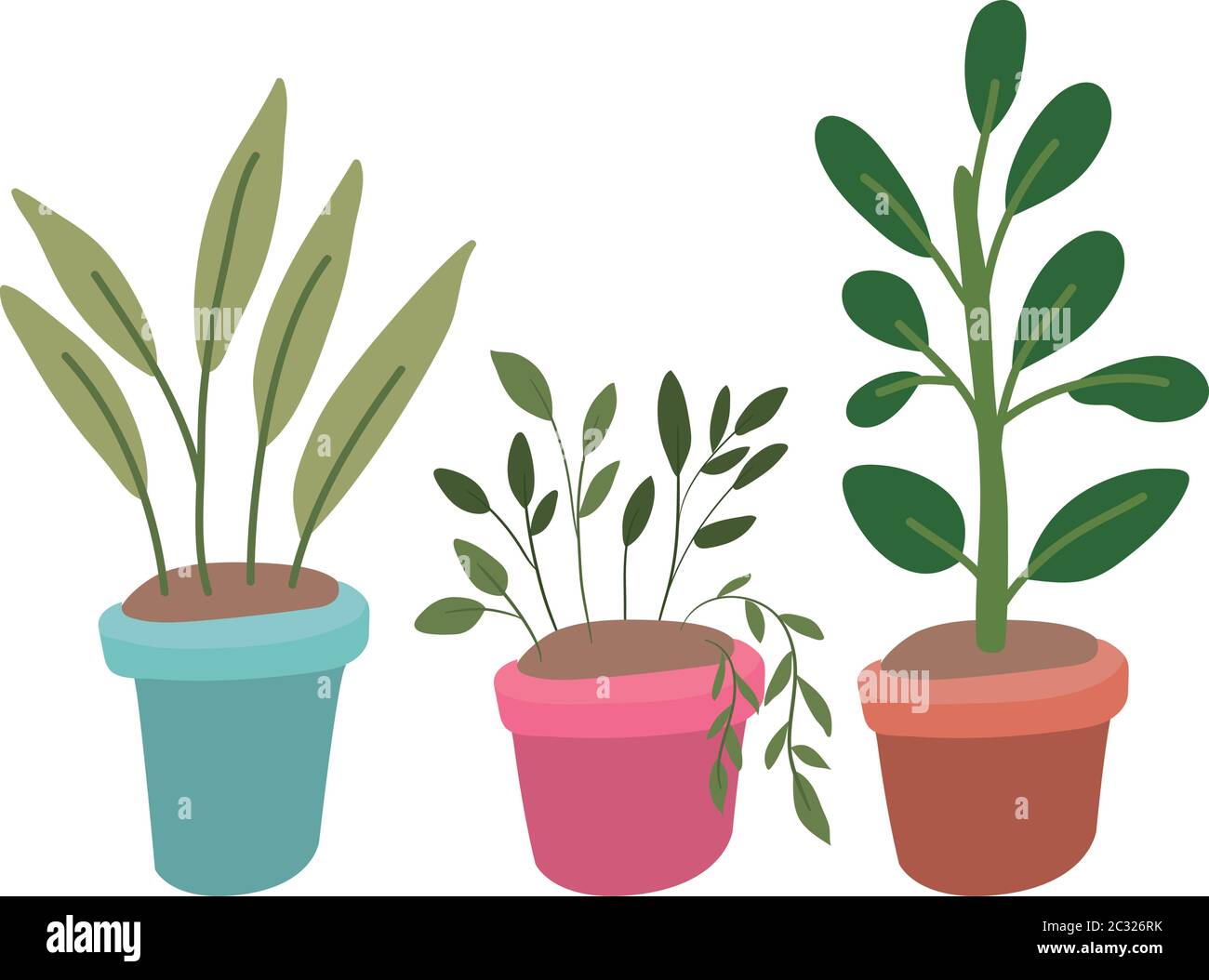 Plants inside pots design of Floral nature garden ornament botany ...