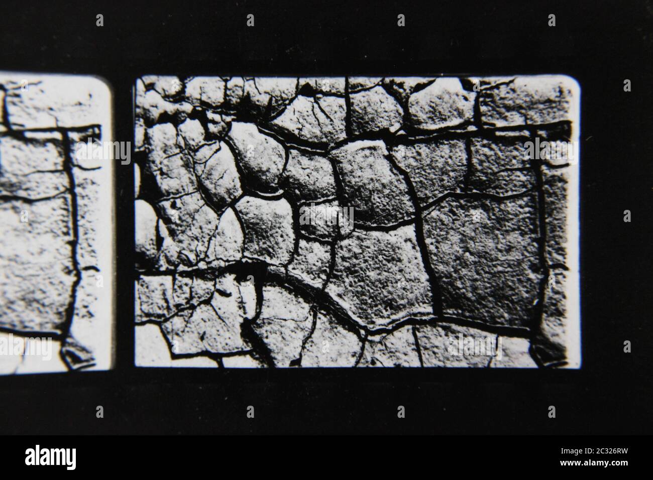 Fine 70s vintage contact print black and white extreme photography of ...