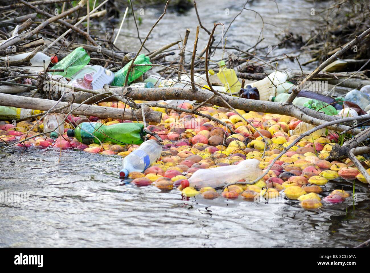 Rotten disgusting apple in a flowing water image Stock Photo - Alamy
