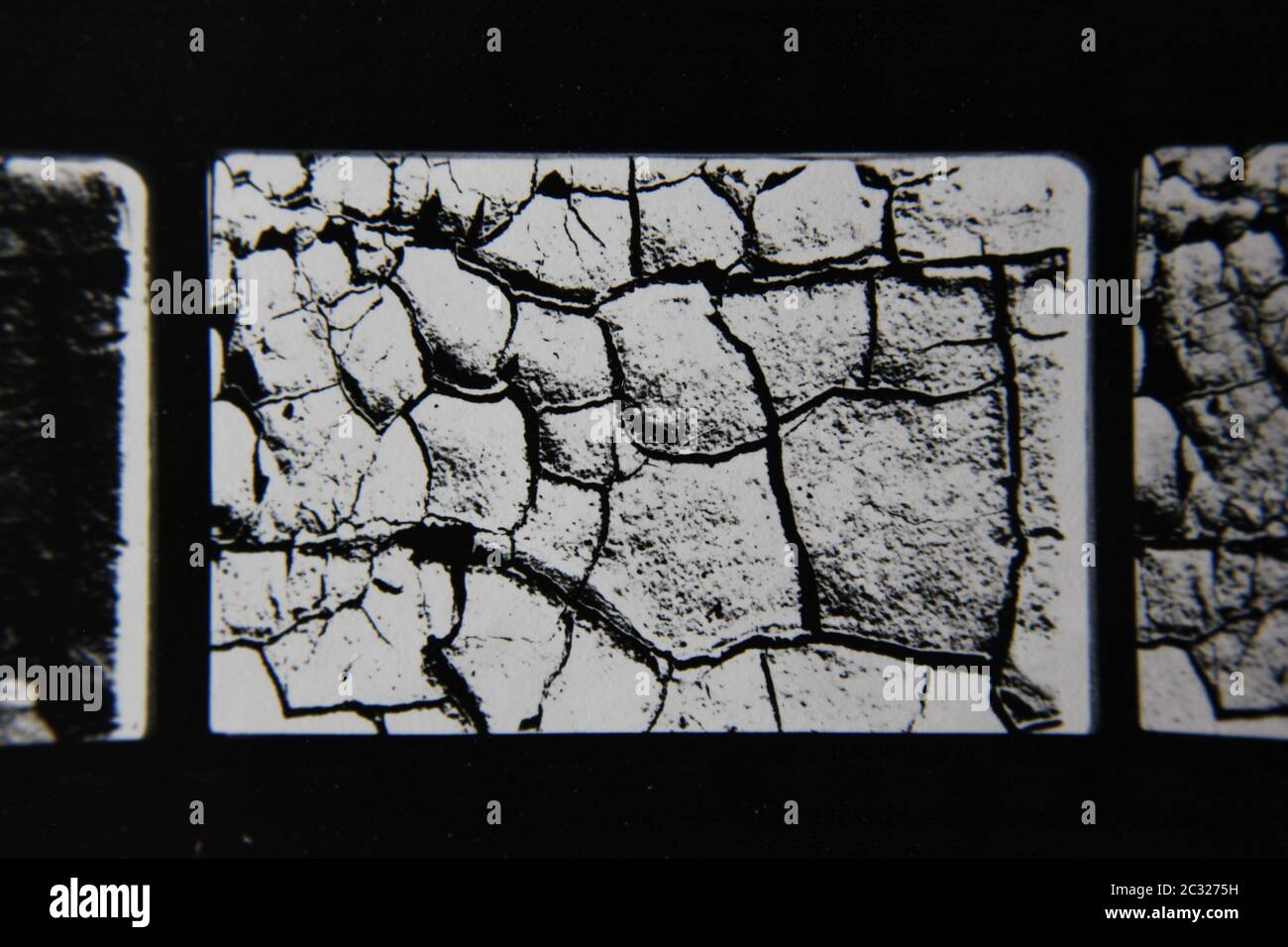 Fine 70s vintage contact print black and white extreme photography of ...