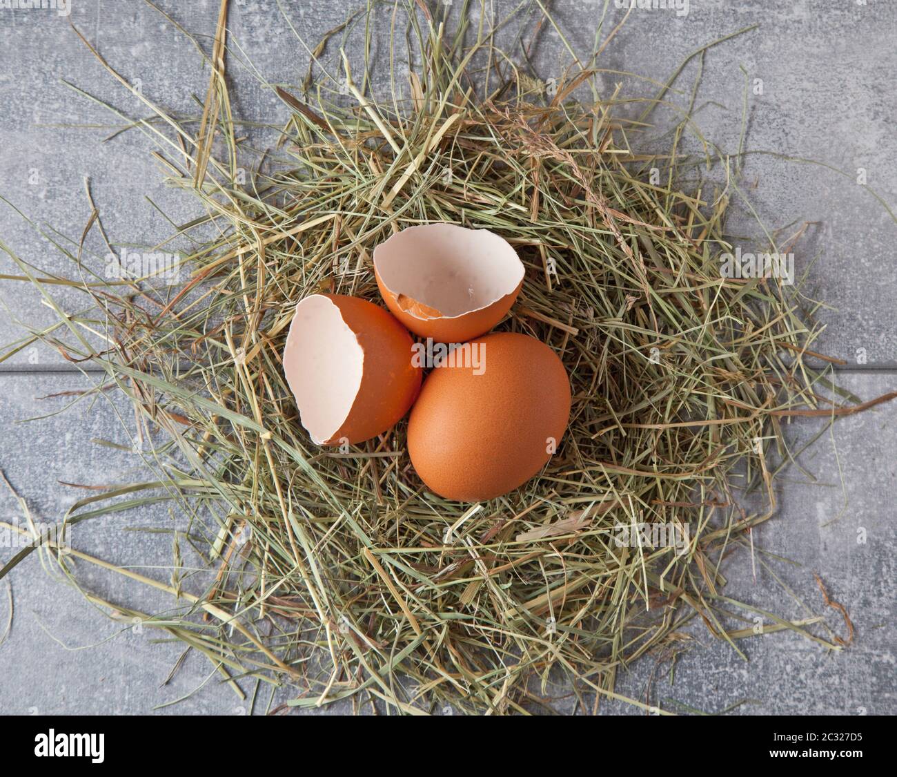 Egg shells in nest hi-res stock photography and images - Alamy
