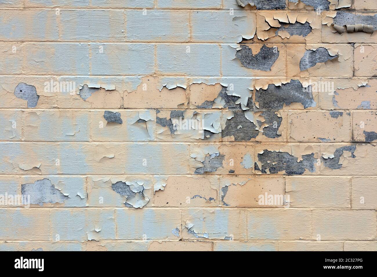 Brick wall, by James D Coppinger/Dembinsky Photo Assoc Stock Photo - Alamy
