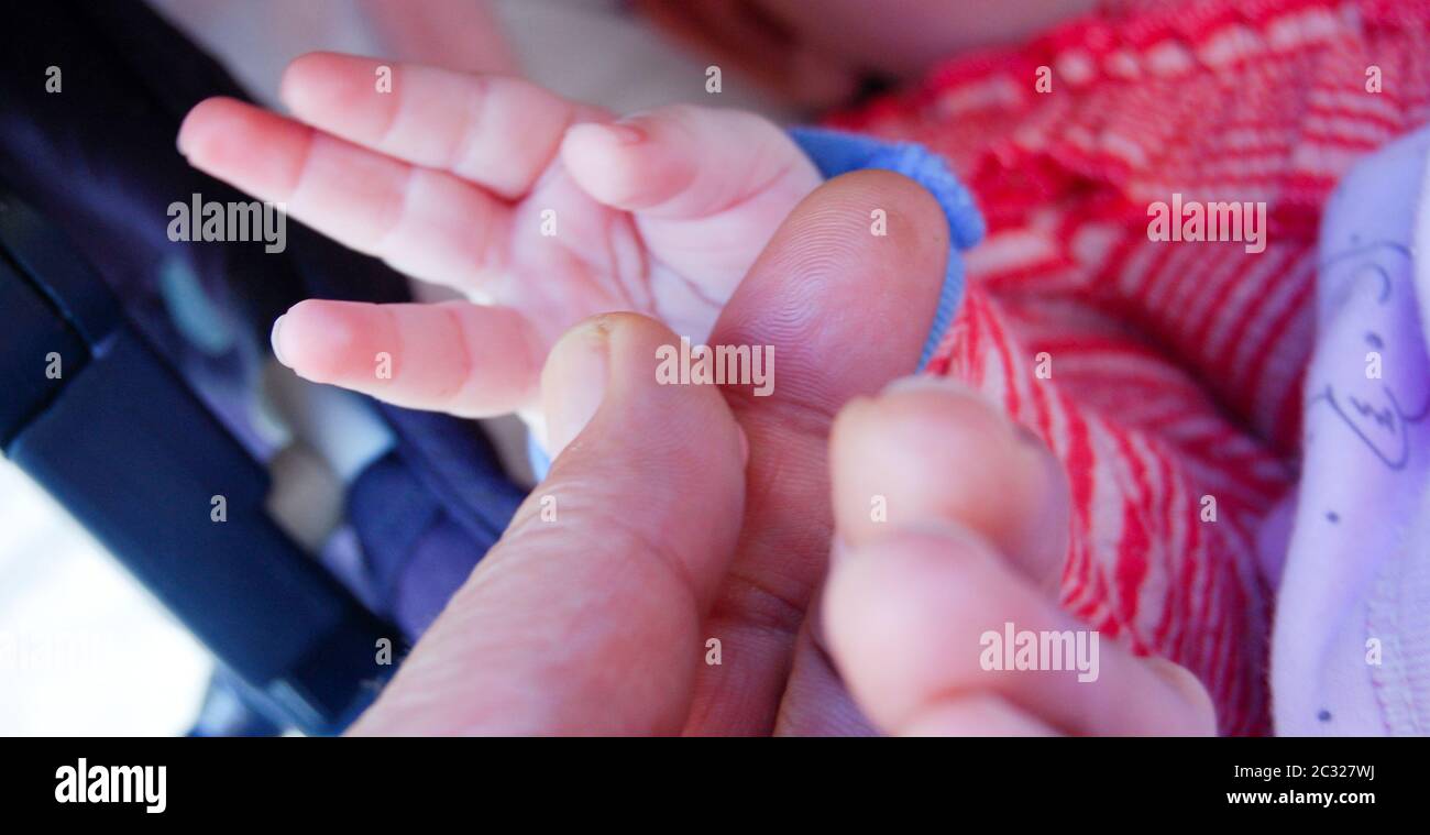Baby hand gently holding adult's finger image Stock Photo - Alamy