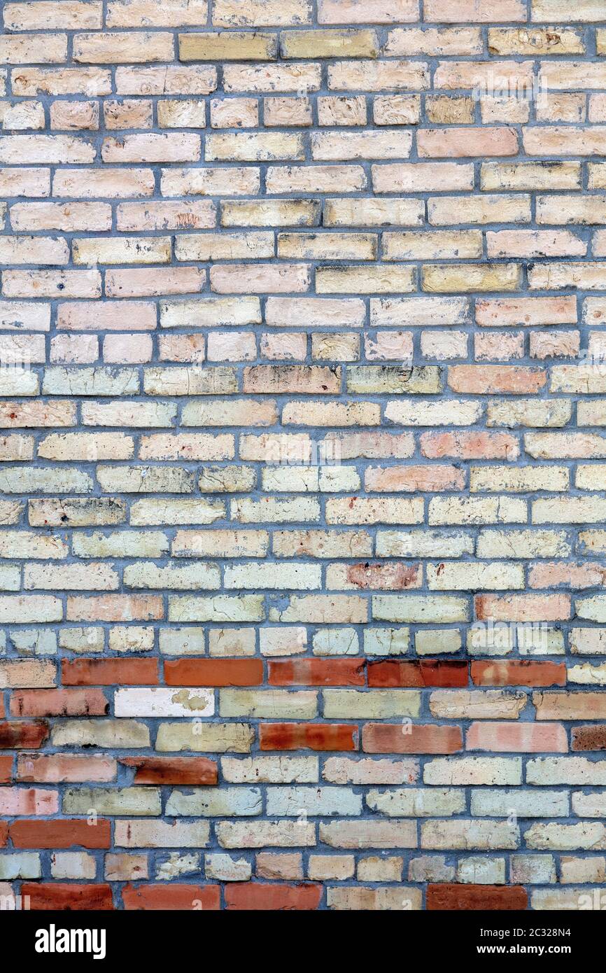 Brick wall, by James D Coppinger/Dembinsky Photo Assoc Stock Photo - Alamy