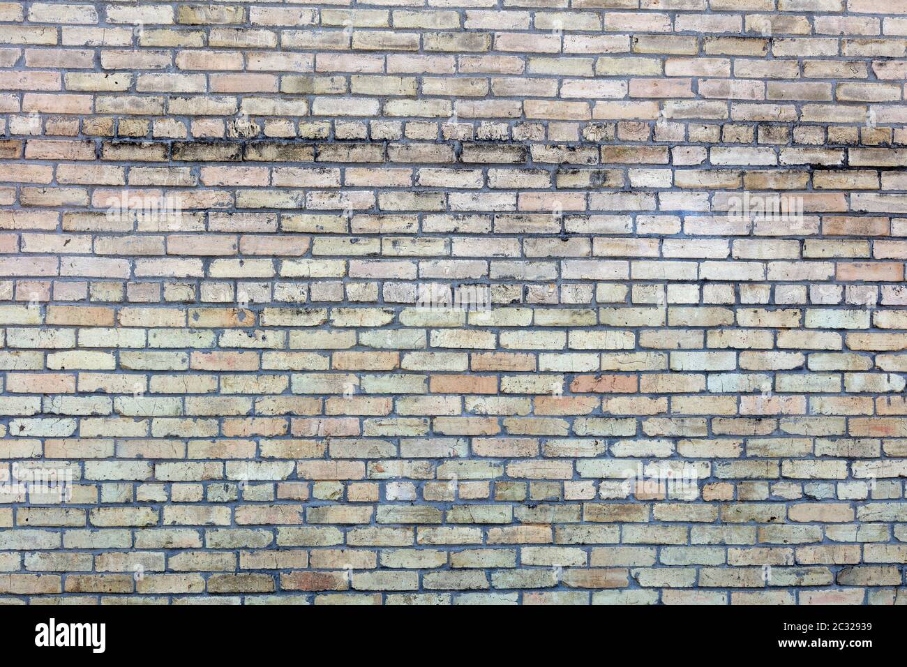 Brick wall, by James D Coppinger/Dembinsky Photo Assoc Stock Photo - Alamy