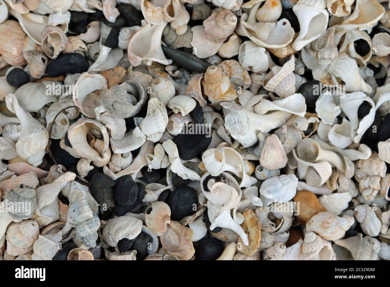 Stony coal hi-res stock photography and images - Alamy