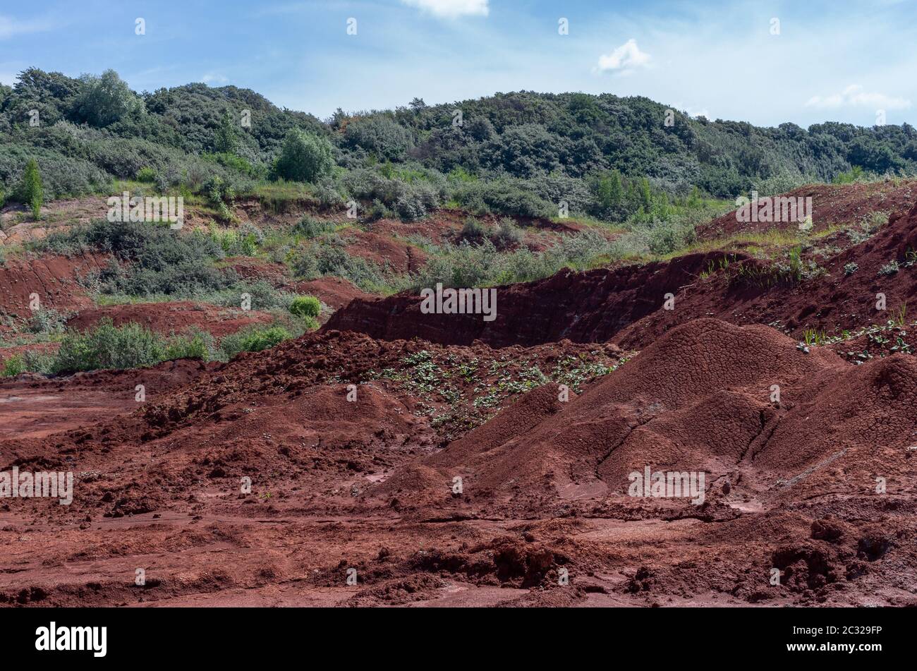 Papile hi-res stock photography and images - Alamy