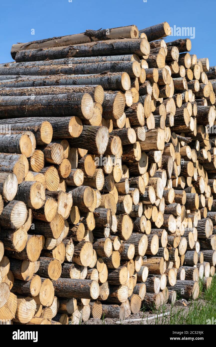 Stacked cut logs, Sawmill operation, E USA, by James D Coppinger ...