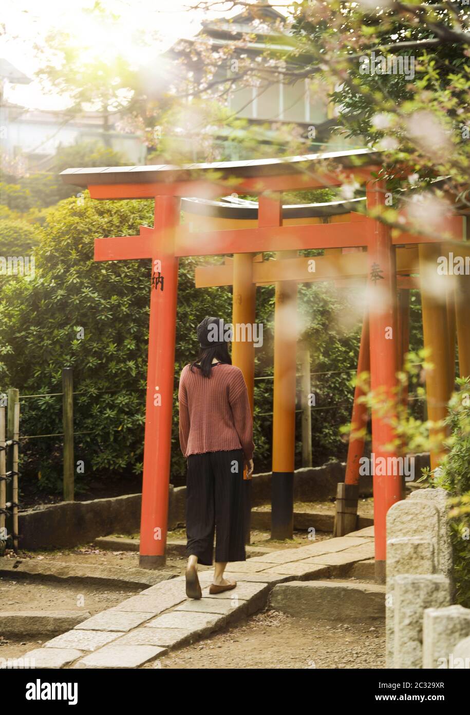 Traditional japanese portal hi-res stock photography and images - Alamy