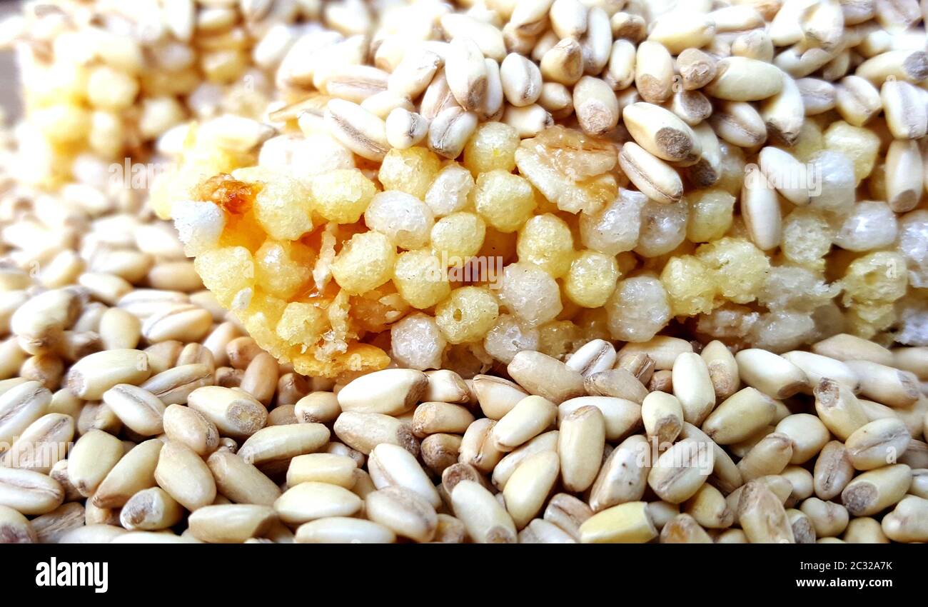 Fiber crop hi-res stock photography and images - Alamy