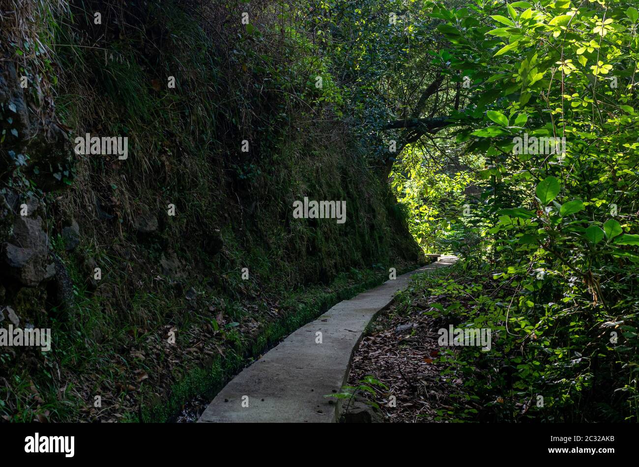 Water irrigation channel, called levada, and footpath for walking near ...
