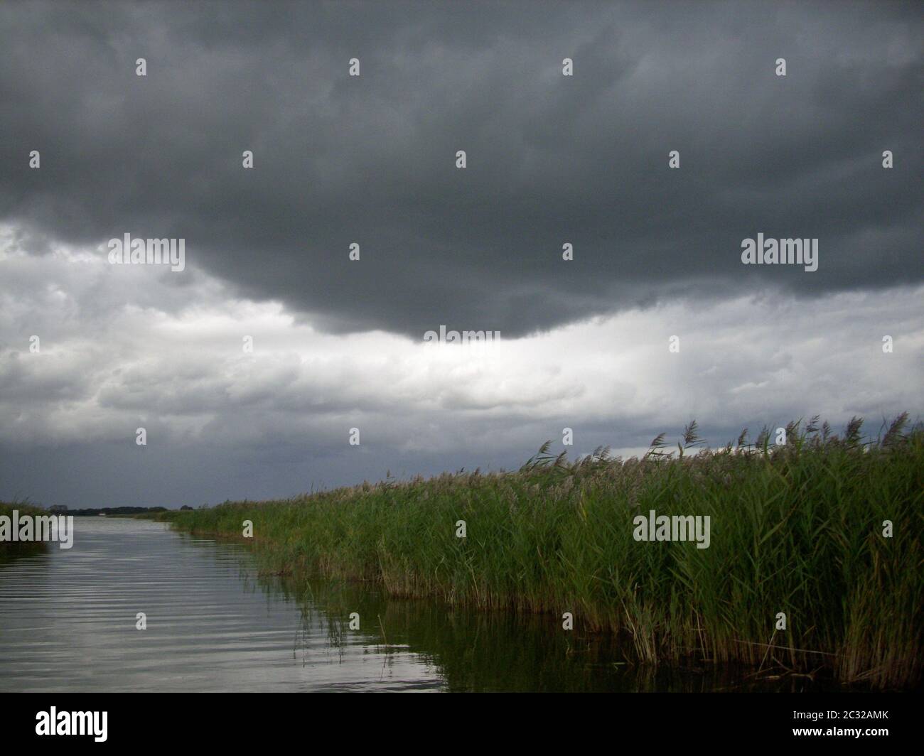 A Norfolk broad with reed (Phragmites australis) beds and the black ...