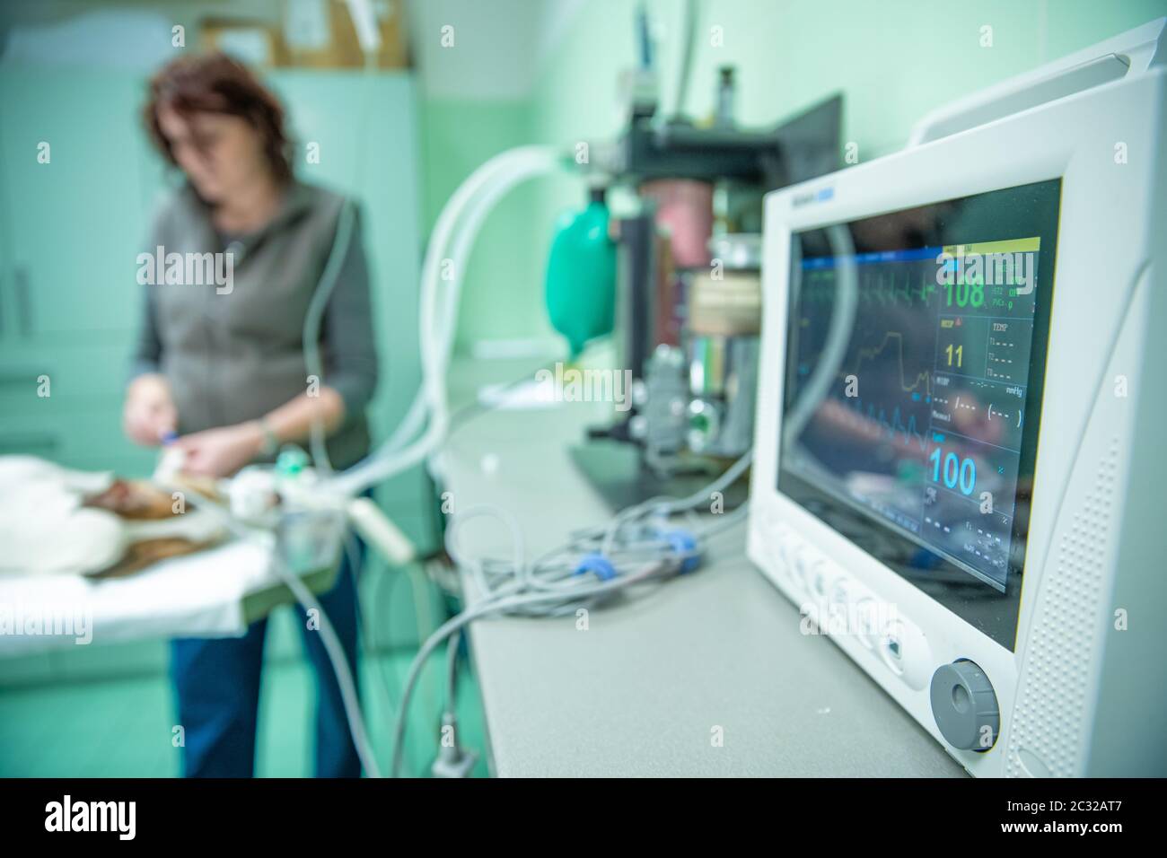 device measuring heart rate during surgery in veterinary clinic Stock ...