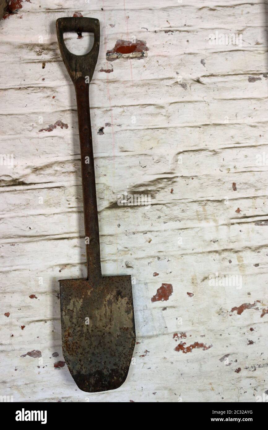 Vintage gardening spade with a wooden handle hanging on a white washed ...