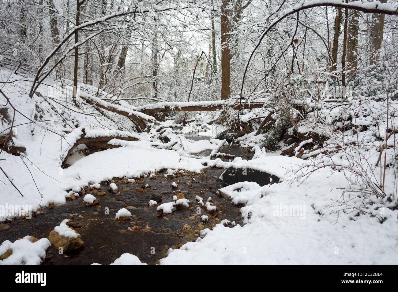 Washington dc forest hi-res stock photography and images - Alamy