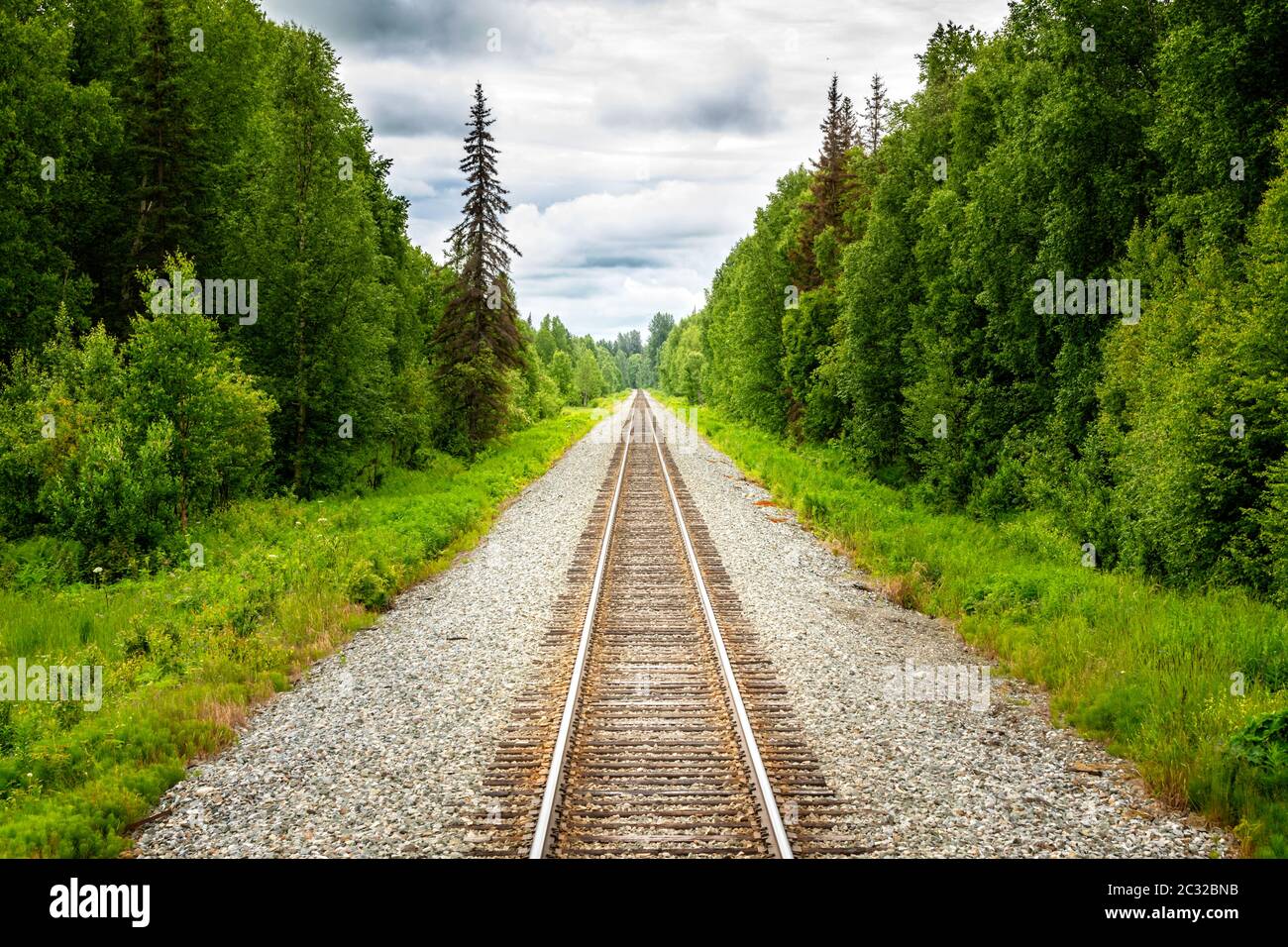 Straight forward, railtracks in the alaskan wilderness Stock Photo - Alamy