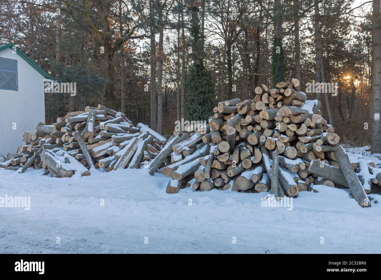 Big Pile of Fire Wood Logs for Winter Stock Photo - Alamy