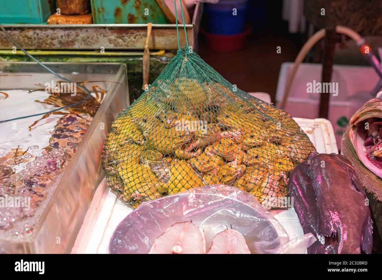 Big Bag of Live Frogs at Farmers Market Stock Photo - Alamy